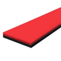 Belt Wiper General Purpose (GP) | Diamondback®